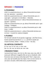Francese: formazione del femminile e del plurale, gli articoli ...