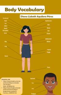 Body parts Vocabulary English - Docsity