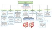 Mapa conceptual de cuci - Docsity