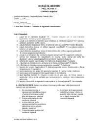 Conducto inguinal anatomia | Apuntes de Anatomía | Docsity