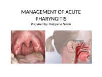 Acute pharyngitis management - Docsity
