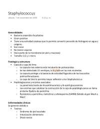 Staphylococcus aureus- medicina - Docsity