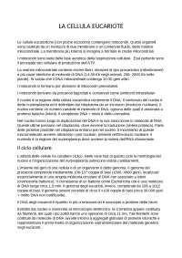 La cellula eucariote - Docsity