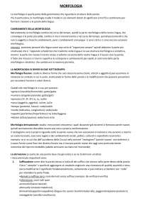 Morfologia e morfosintassi - Docsity