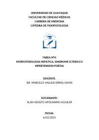 MORFOFISIOLOGIA DE LA GLANDULA HEPATICA | Apuntes de Fisiopatología ...