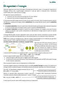 Cellula Eucariote e organuli - Docsity
