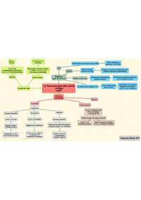 Mappa Concettuale la Fenomenologia dello Spirito di Hegel - Docsity