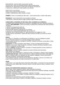 PROPEDEUTICA FILOSOFICA - SINTESI ESSENZIALE - MAPPA CONCETTUALE ...