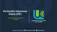 Peritonitis infecciosa felina (PIF) - Docsity