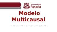 MODELO MULTICAUSAL epidemiologia - Docsity