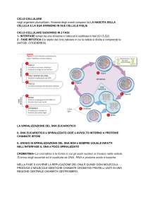 Cellula aploide e diploide - UNISOB - Docsity