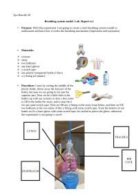 Lab. report breathing system - Docsity