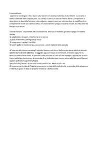 Modello agil e Talcott Parsons - Docsity