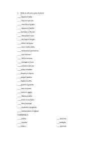 Ejercicios practicar examen de italiano - Docsity