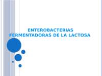 ENTEROBACTERIAS FERMENTADORAS DE LA LACTOSA | Apuntes de Microbiología ...