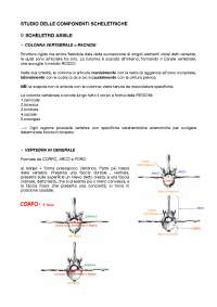 SCHELETRO ASSILE,VERTEBRE - Docsity
