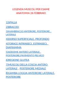 MUSCOLI ANATOMIA ORIGINE E INSERZIONE | Appunti di Anatomia | Docsity