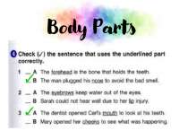 BODY PARTS BODY PARTS BODY PARTS BODY PARTS BODY PARTS - Docsity