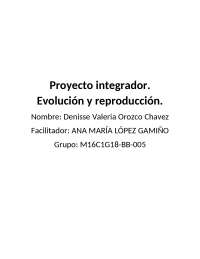 Proyecto integrador - Docsity