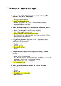Preguntas Y Respuestas Traumatologia – VSZPG