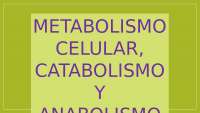 Metabolismo Celular,Anabolismo y catabolismo diapositivas - Docsity