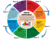 Infograma del ciclo contable | Esquemas y mapas conceptuales de Contabilidad | Docsity