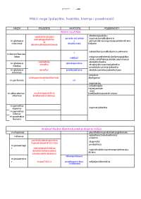 Anatomija - MISICI NOGE | Beleške' predlog Anatomija čoveka - Docsity