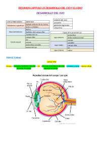 DESARROLLO OJO y OIDO - Docsity