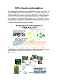 Fisiologia Vegetal Tema 1 - Docsity