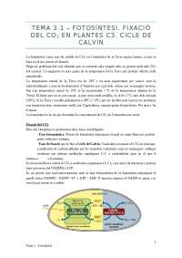 Fisiologia Vegetal Tema 13 - Docsity