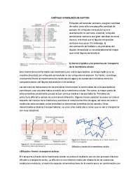 Resumen Capitulo 4 Guyton - Docsity