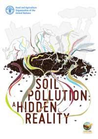 Soil pollution project report - Docsity