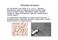 Enterobatteri, patogenesi - Docsity