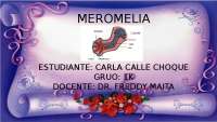 Meromelia malformacion genética - Docsity