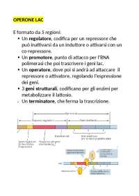 OPERONE lac da cosa è composto - Docsity
