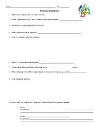 Proteins Worksheet Sample Questions - Docsity