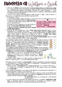 Il Modello del DNA di Watson e Crick - Docsity