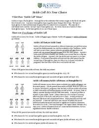 DNA Sickle Cell Anemia Genetics Worksheet - Docsity