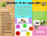 Derechos de los animales - Docsity
