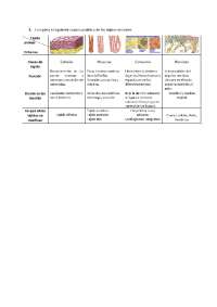 Tipos de tejidos y sus clasificaciones - Docsity