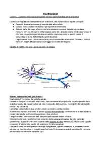 Anatomia e Fisiologia del sistema nervoso. - Docsity