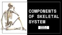 Components of Skeletal System - Docsity
