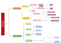 Esquema tipus de lípids - Docsity