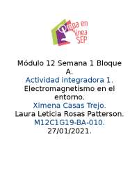 Actividad integradora 1. Electromagnetismo en el entorno. | Ejercicios de Matemáticas | Docsity