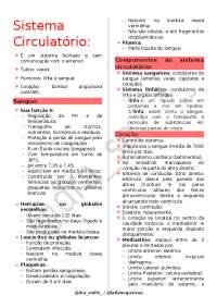 Sistema circulatório, resumo. - Docsity