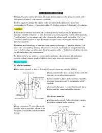 SEMIOLOGÍA DEL TÓRAX, INSPECCIÓN, PALPACIÓN Y AUSCULTACIÓN. - Docsity