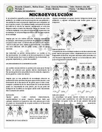 Taller de Microevolución - Docsity