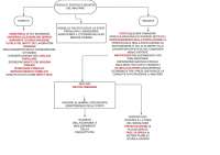 WELFARE STATE mappa: aspetti positivi e negativi | Schemi e mappe ...