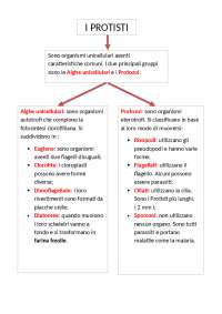I Protisti mappa concettuale | Appunti di Biologia | Docsity
