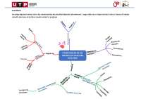 ESQUEMA MAPAs MENTAL - Docsity
